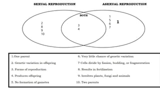Reproduction(sexual and asexual.worksheet.pptx