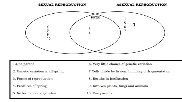 Reproduction(sexual and asexual.worksheet.pptx