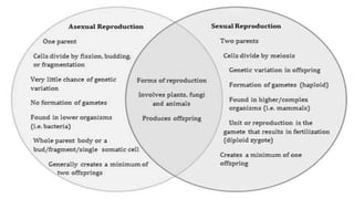 Reproduction(sexual and asexual.worksheet.pptx