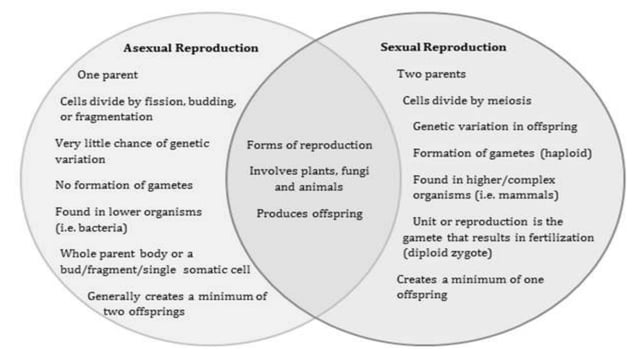 Reproduction(sexual and asexual.worksheet.pptx