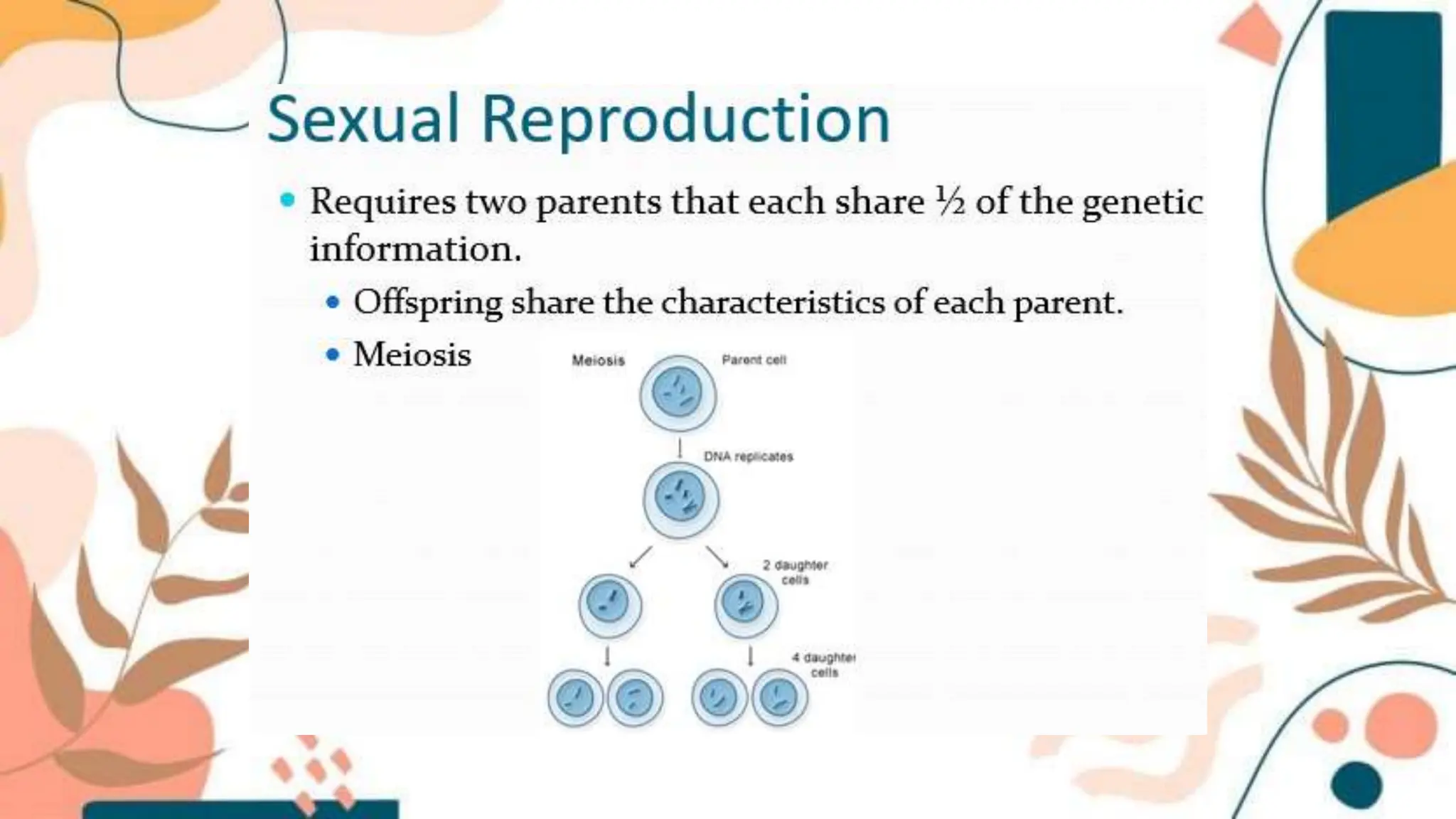 Types of Reproduction, animals, flowers. | PPT