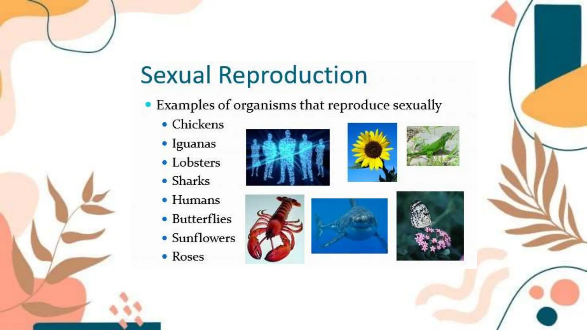 Types of Reproduction, animals, flowers. | PPT