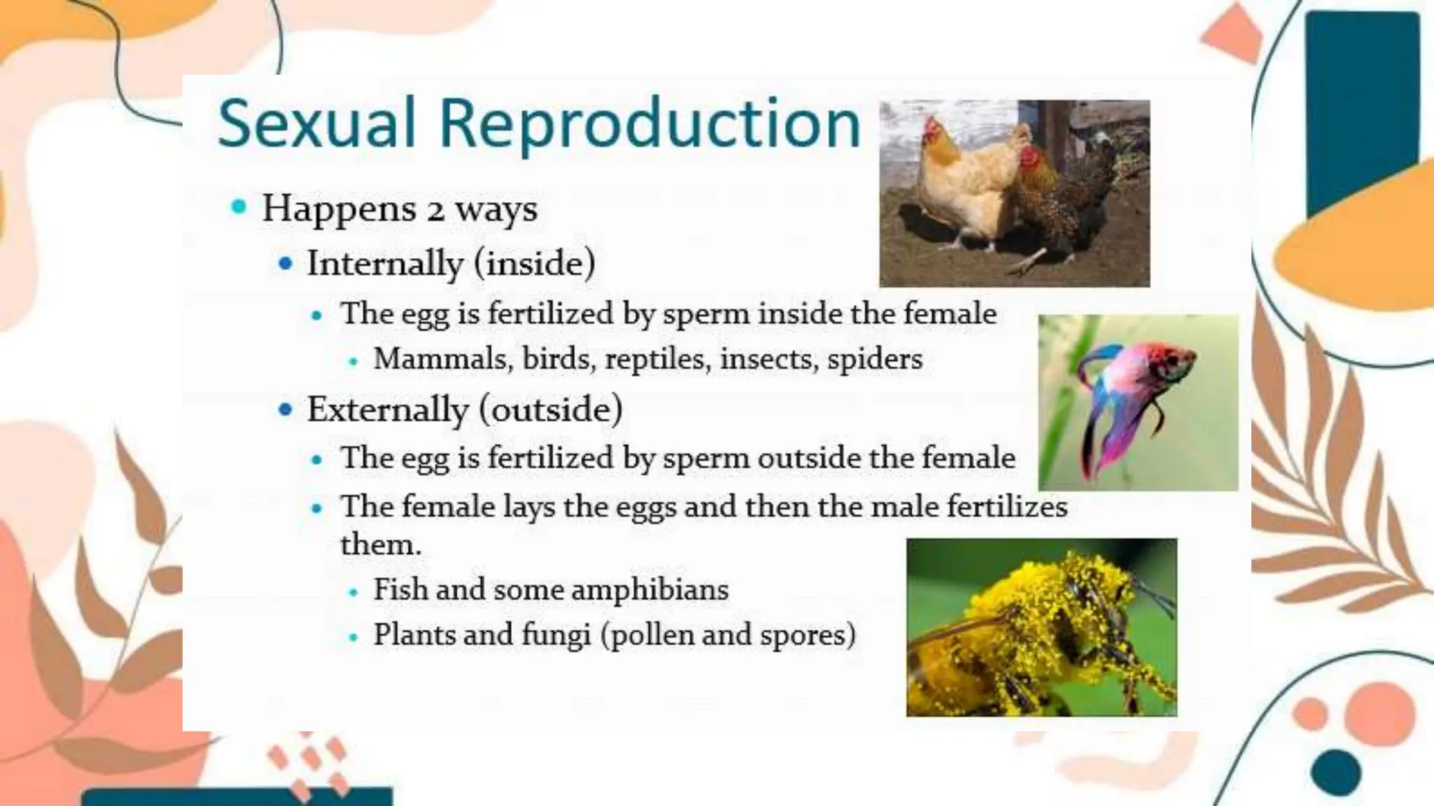 Types of Reproduction, animals, flowers. | PPT