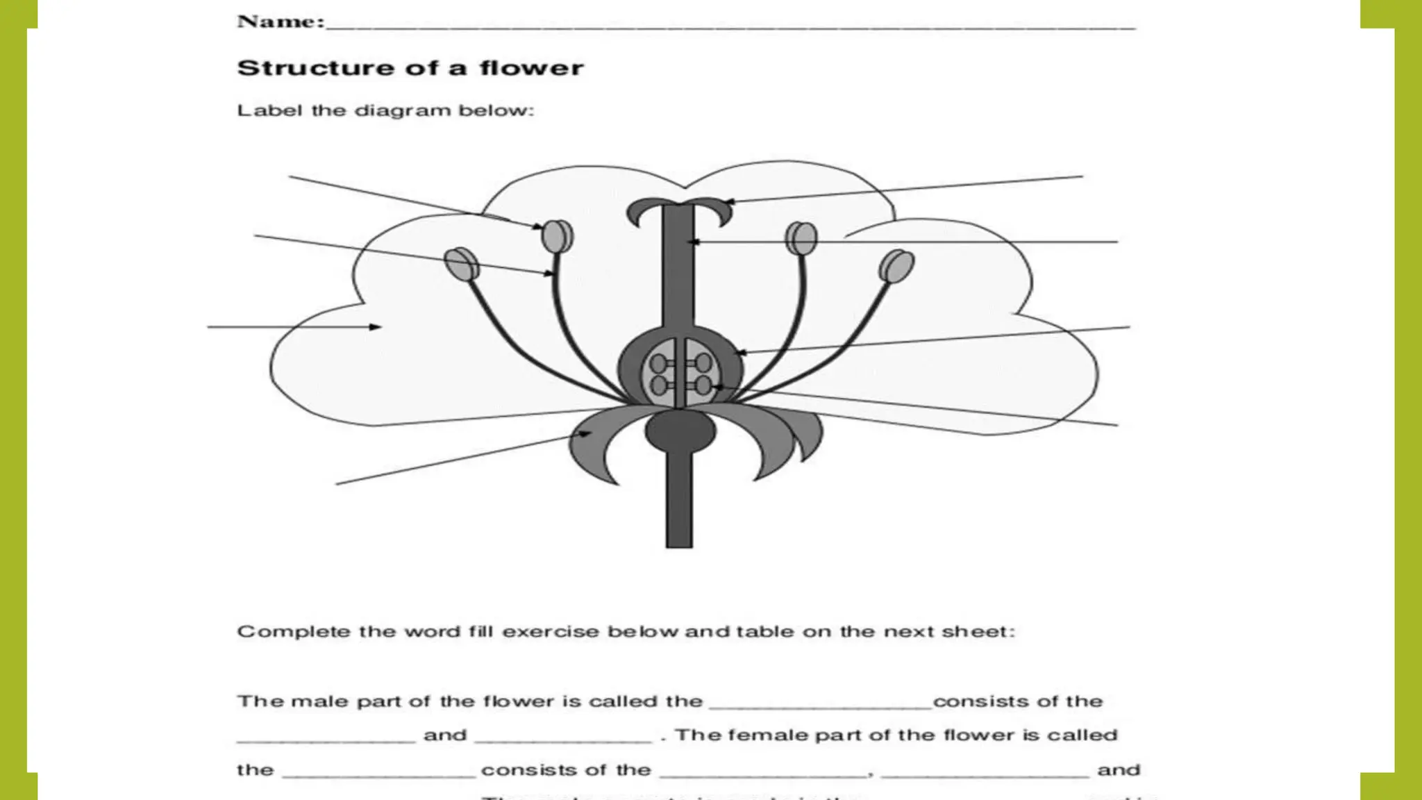 Sexual And Asexual Reproduction In Plants Pptx