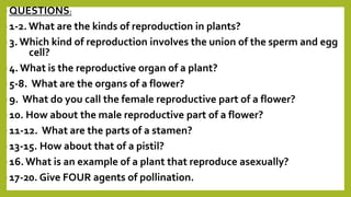 SEXUAL AND ASEXUAL REPRODUCTION IN PLANTS.pptx