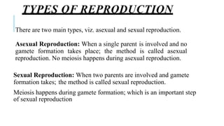 tenth ncert science Reproduction in living organisms | PPTX