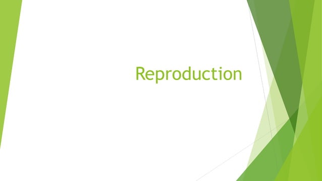 REPRODUCTION Human reproduction is sexual reproduction that results in ...