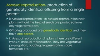 reproduction in plants and animals full chapter.pptx