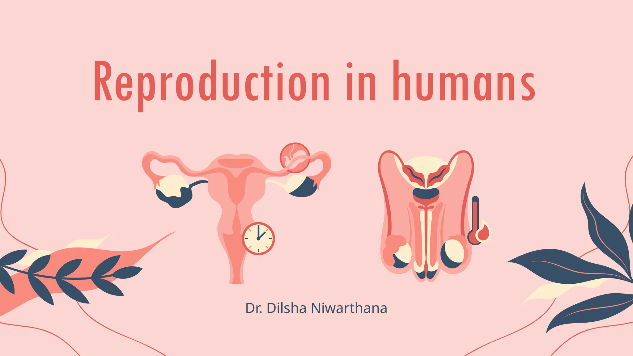 Human Reproduction: A simple introduction.pptx