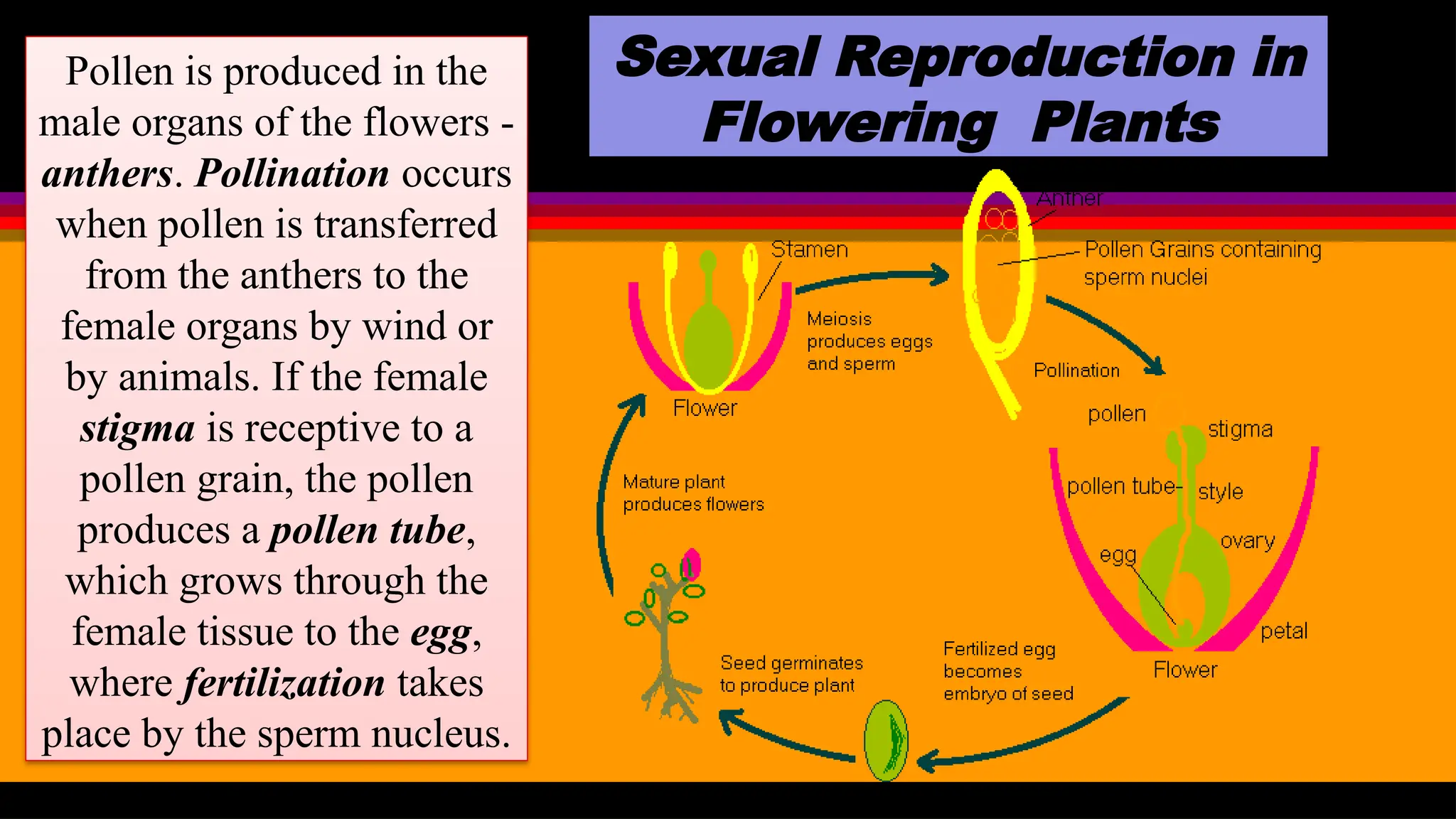 Earth & Life Science_ REPRODUCTION.pptx