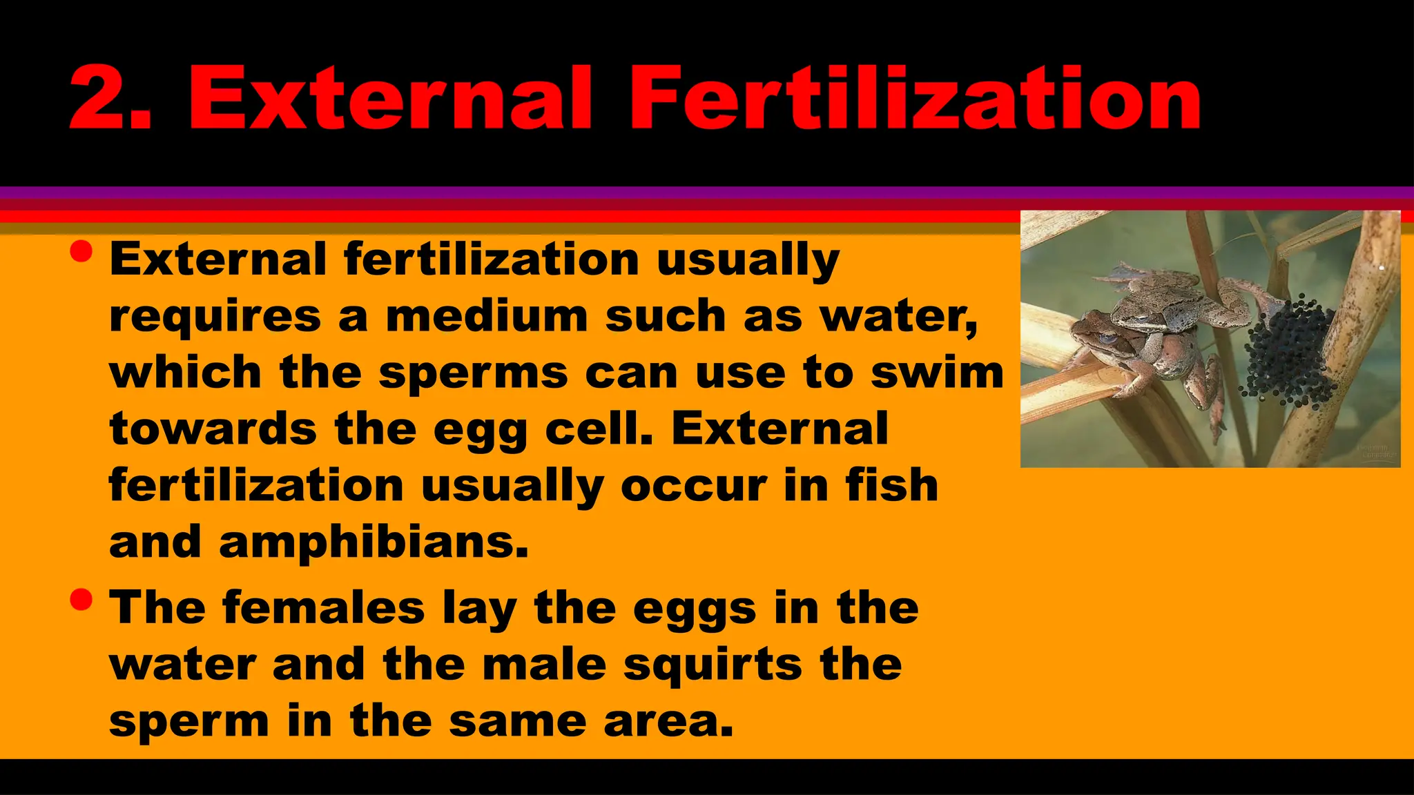 Earth & Life Science_ REPRODUCTION.pptx