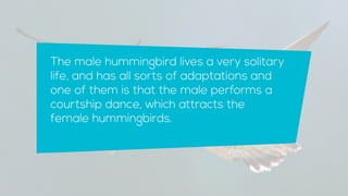 Adapting to the Environment - Reproduction | PDF