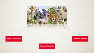 Adapting to the Environment - Reproduction | PDF