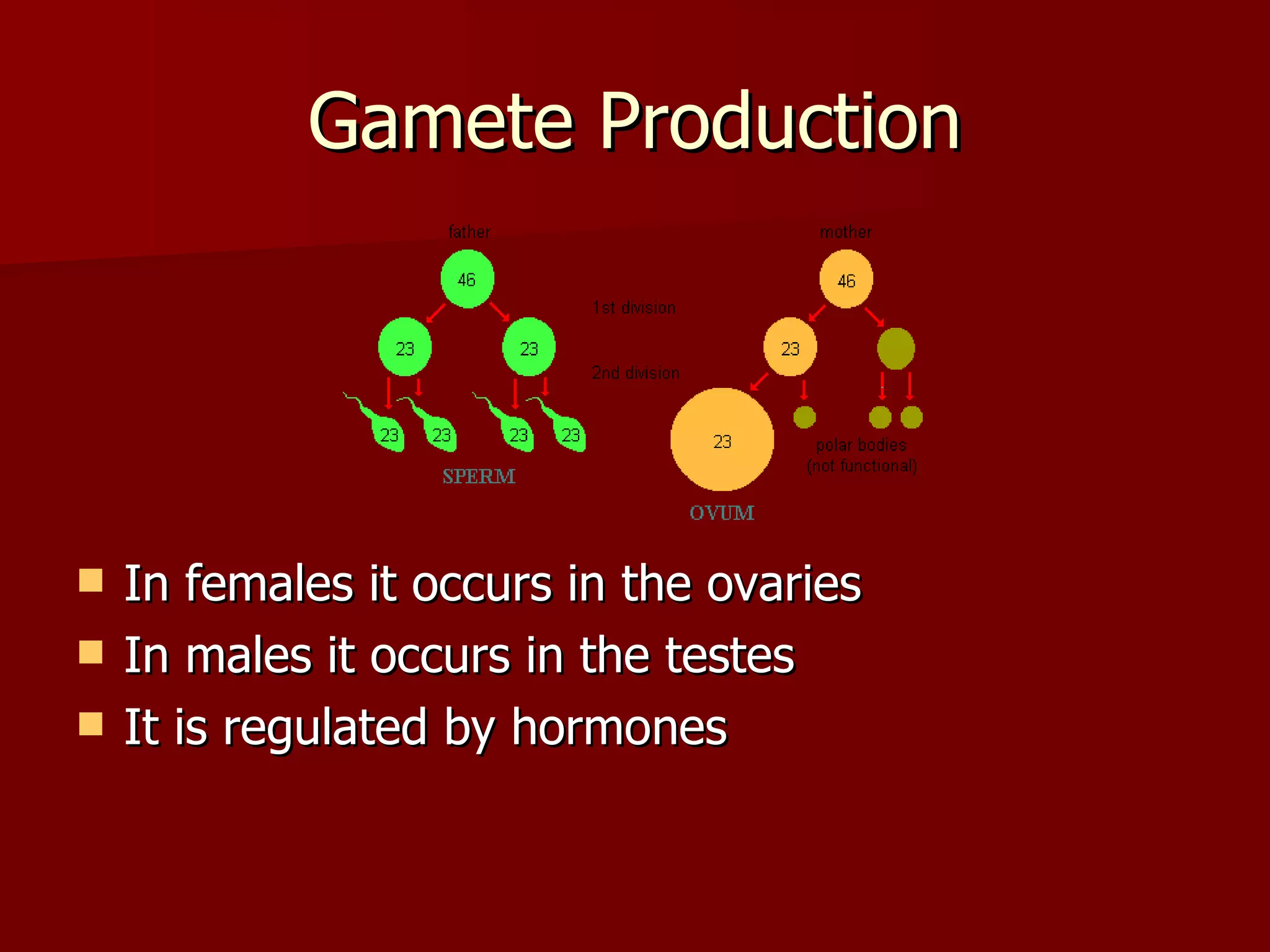 Reproduction And Development | PPT