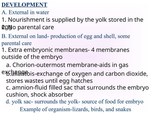 Reproduction-and-Development of Human Beings | PPT