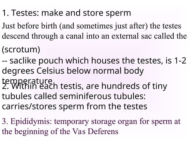 Reproduction-and-Development of Human Beings | PPT