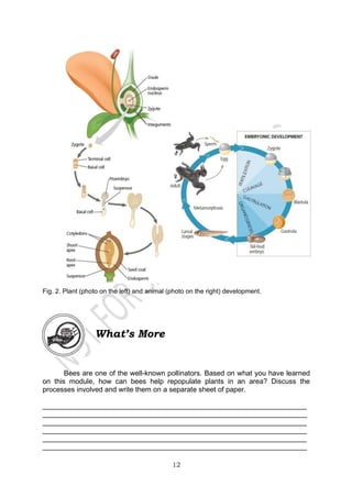 Reproduction-and-Development (1).pdf | Infertility | Reproductive Health