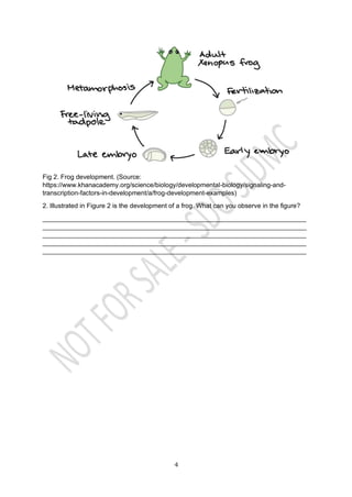 Reproduction-and-Development (1).pdf | Infertility | Reproductive Health