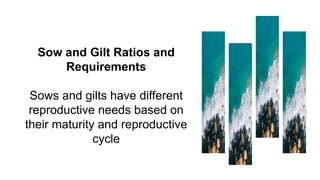 Reproduction-and-Phenomena-WPS-Office.pptx