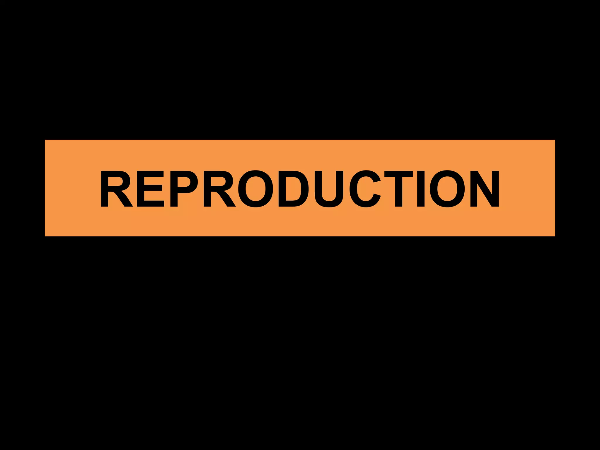 Reproduction of Harp Sponges | PPTX