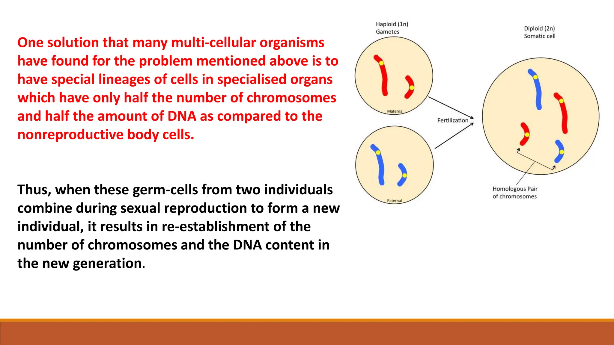 How Do Organisms Reproducereproduction Part 1 Ppt