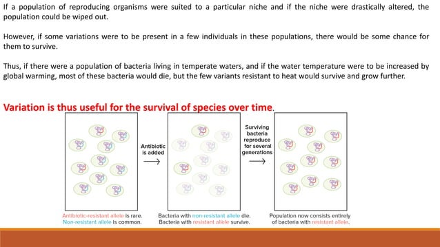 HOW DO ORGANISMS REPRODUCE?reproduction part 1 | PDF