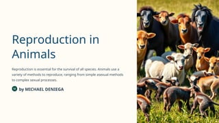Animal Biology - Reproduction in Animals | PPTX