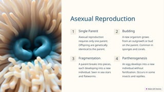 Animal Biology - Reproduction in Animals | PPTX