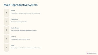 Animal Biology - Reproduction in Animals | PPTX
