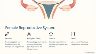 Animal Biology - Reproduction in Animals | PPTX