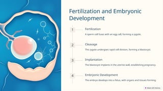 Animal Biology - Reproduction in Animals | PPT
