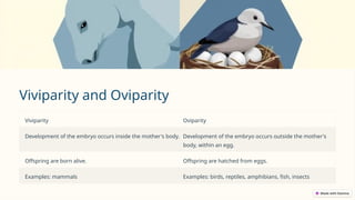 Animal Biology - Reproduction in Animals | PPT