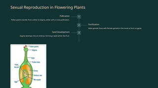 Reproduction in Living Organisms .pptx