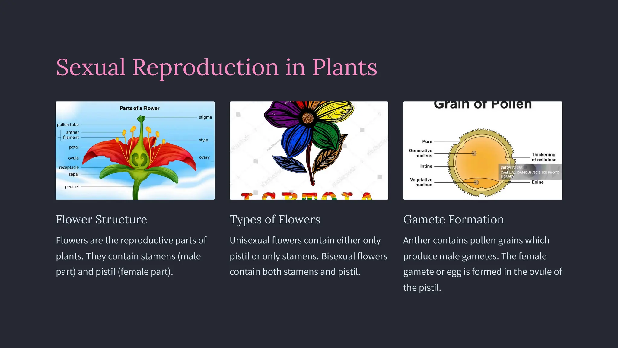 Reproduction-in-Plants.pdf 7th class Science | PDF