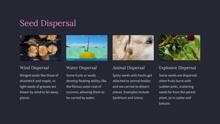 Reproduction-in-Plants.pdf 7th class Science | PDF