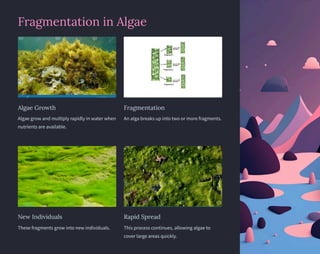 Reproduction-in-Plants.pdf 7th class Science | PDF
