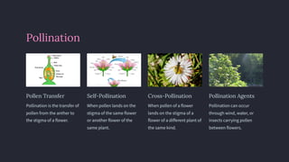 Reproduction-in-Plants.pdf 7th class Science | PDF