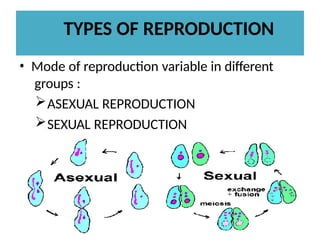 Process of Reproduction-in-Protists.pptx