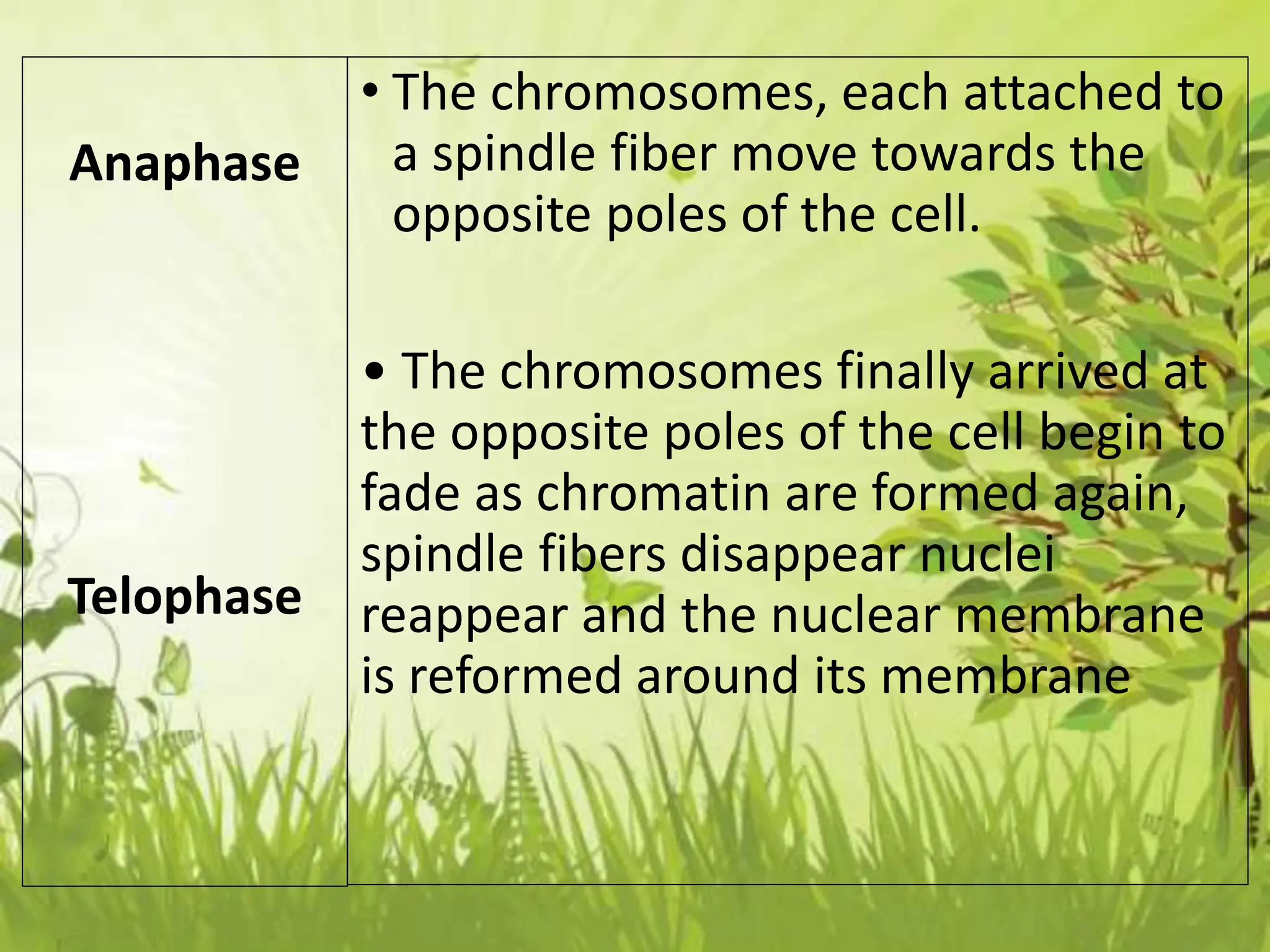Reproduction of life ppt..pdf slideshare | PPTX