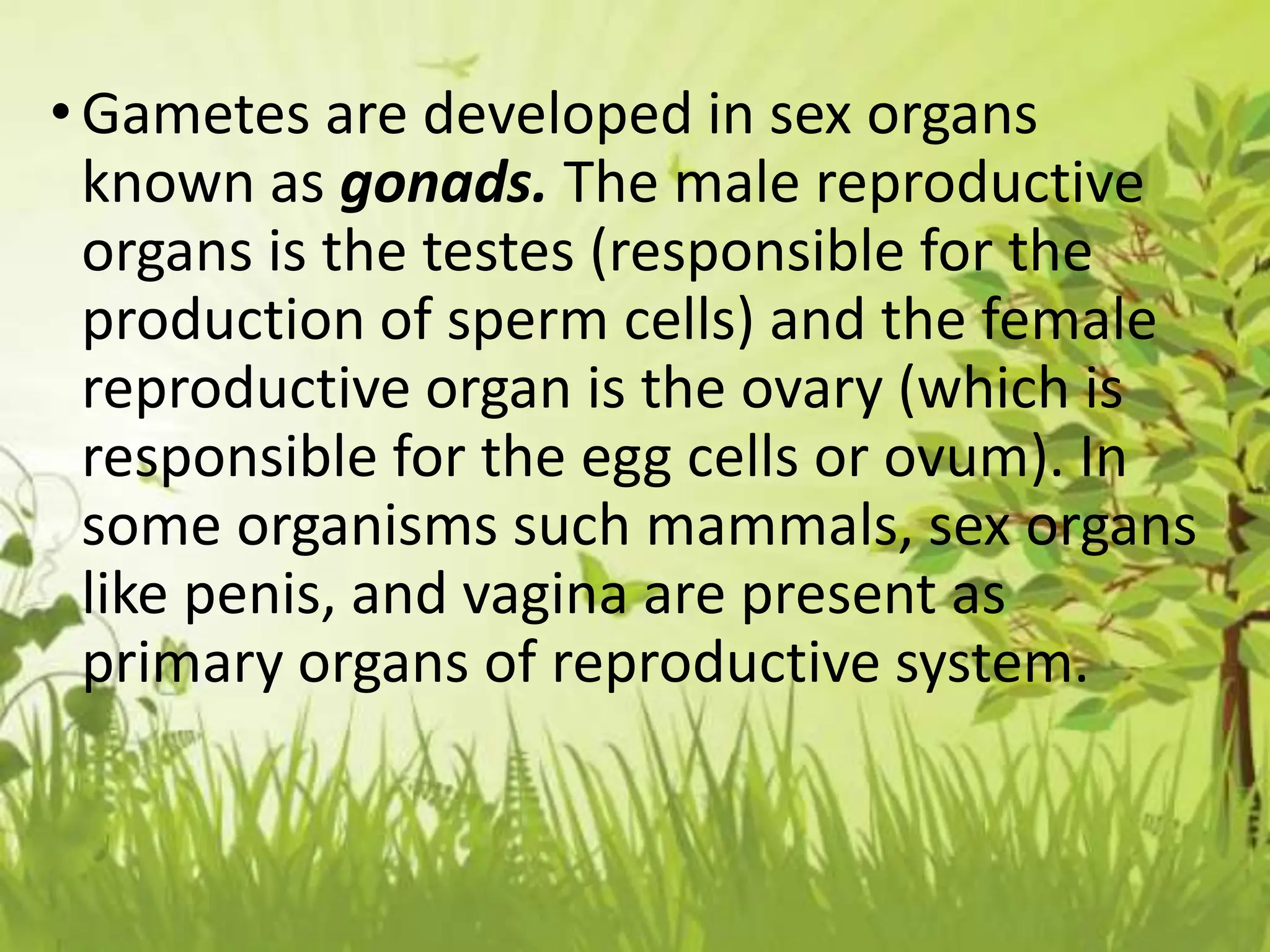 Reproduction of life ppt..pdf slideshare | PPTX