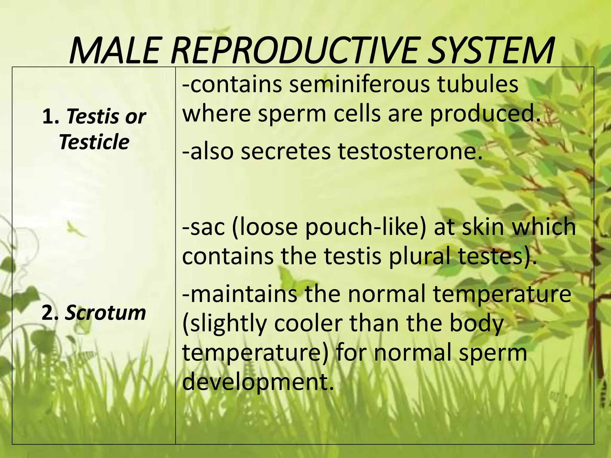 Reproduction of life ppt..pdf slideshare | PPT