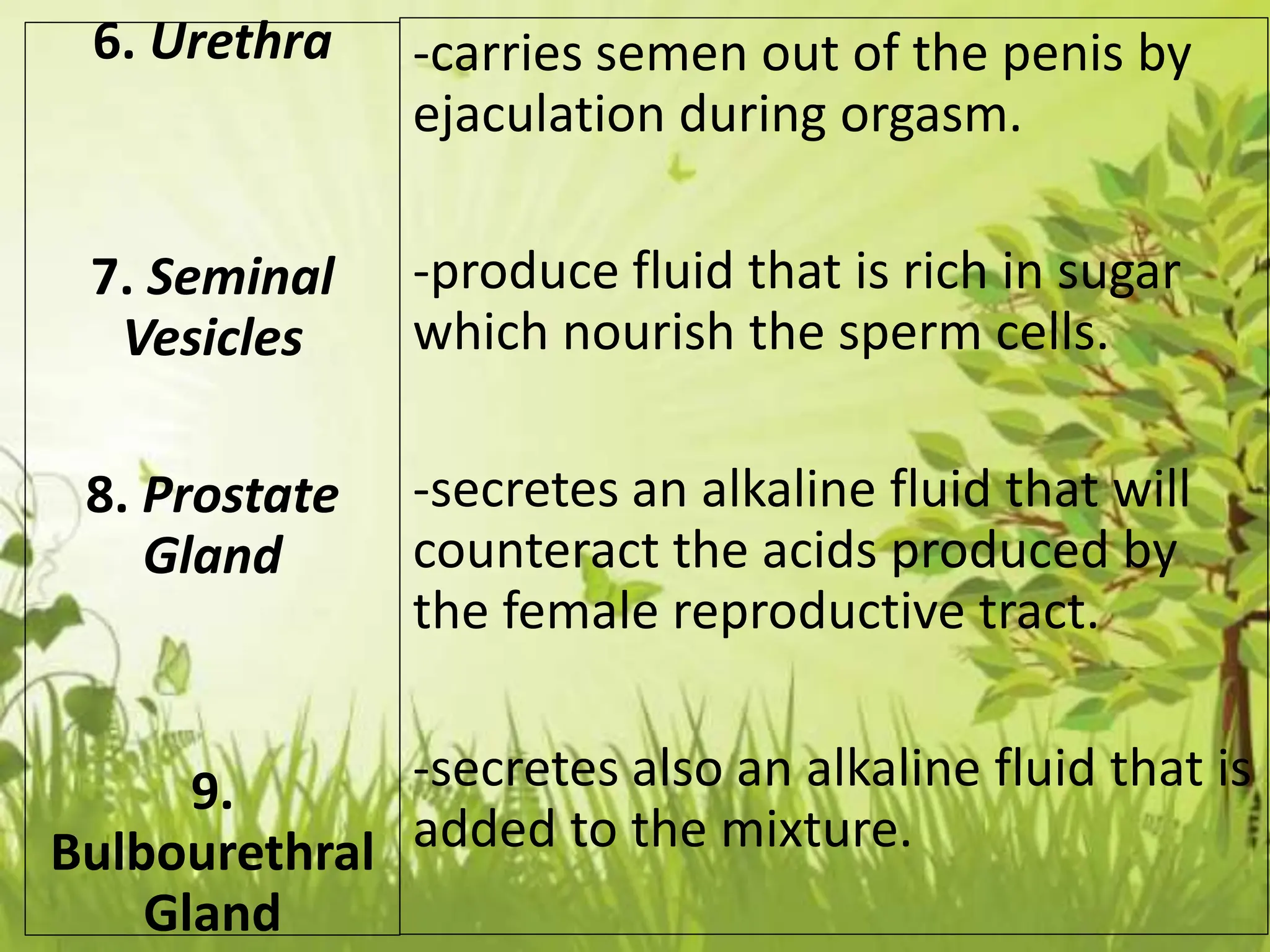 Reproduction of life ppt..pdf slideshare | PPTX