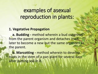 Reproduction of life ppt..pdf slideshare | PPTX