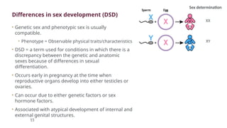 Reproduction Application Integration.pptx