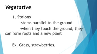 General Biology 1 reproduction-plants.pptx