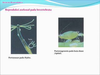 Reproduction system2 | PPT