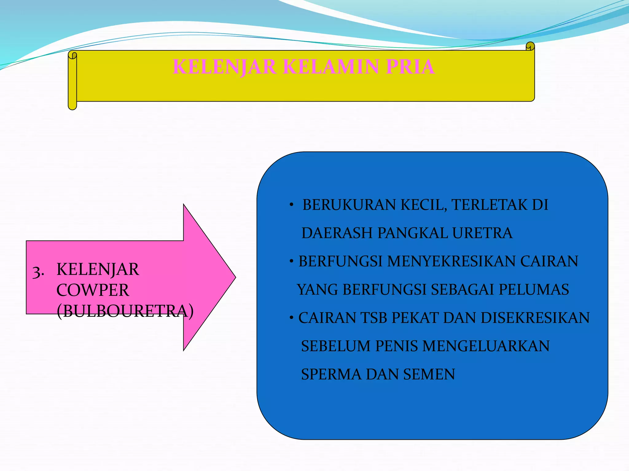 reproduction-system2 ppt.ppt