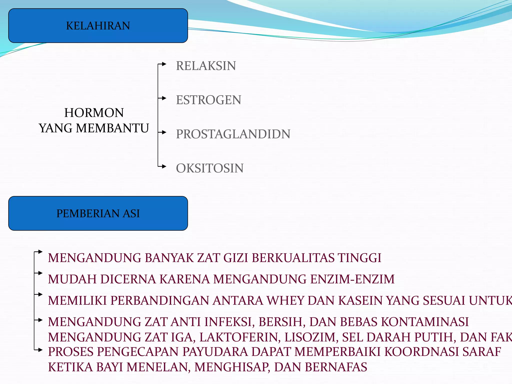 reproduction-system2 ppt.ppt