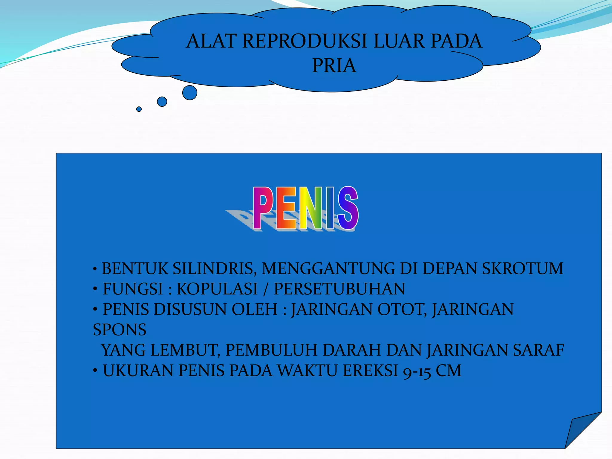 reproduction-system2 ppt.ppt