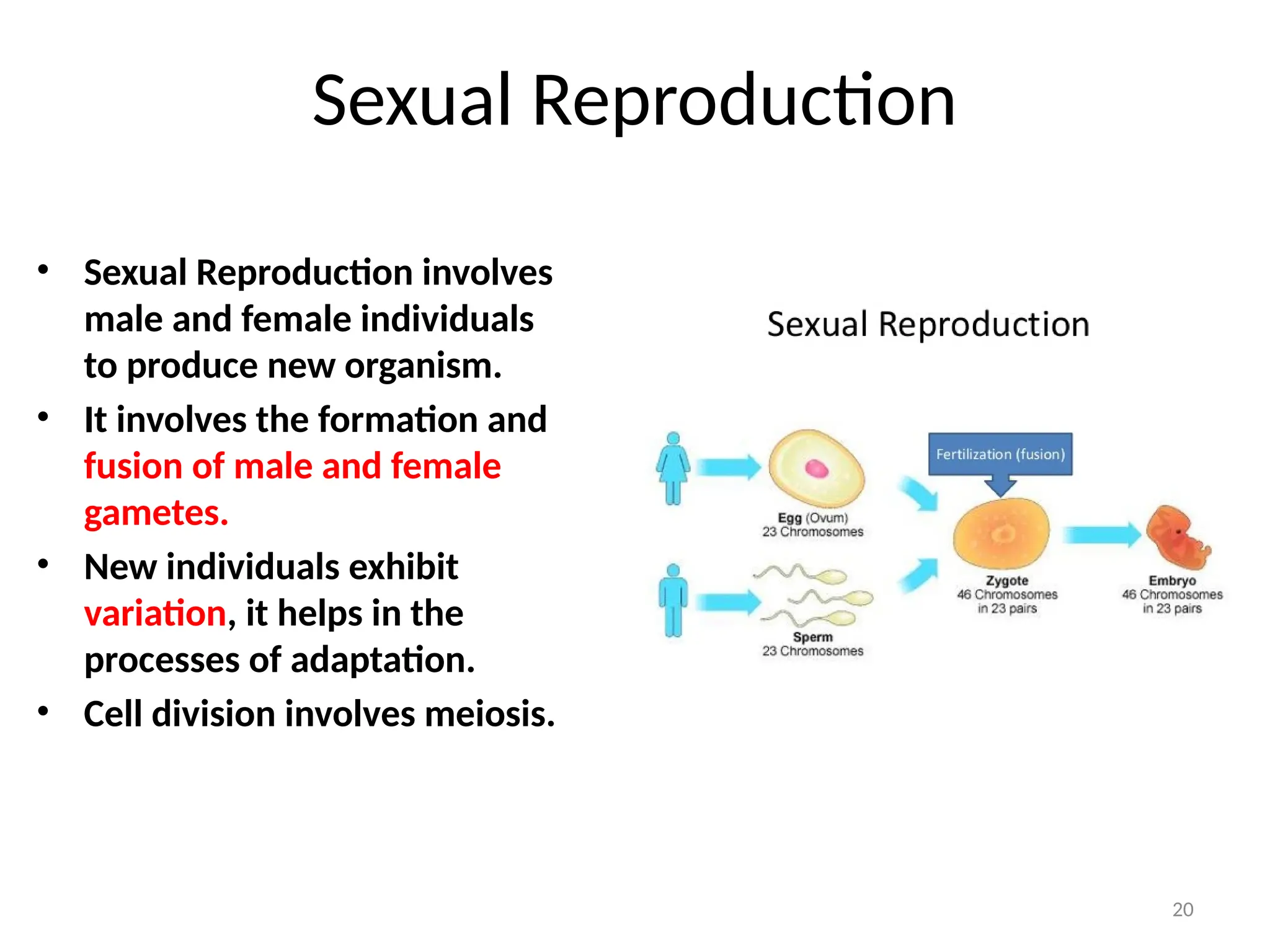 Reproduction 10th biology for 10th1-1.pptx